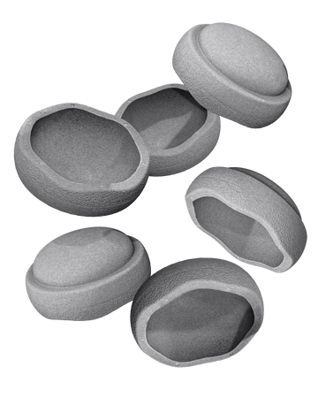 Welcome to the official Stapelstein® online store